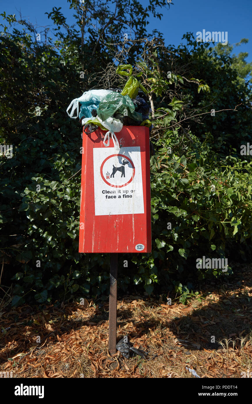 A dog poo bin overflowing with dog poo bags on one of the hottest days ...