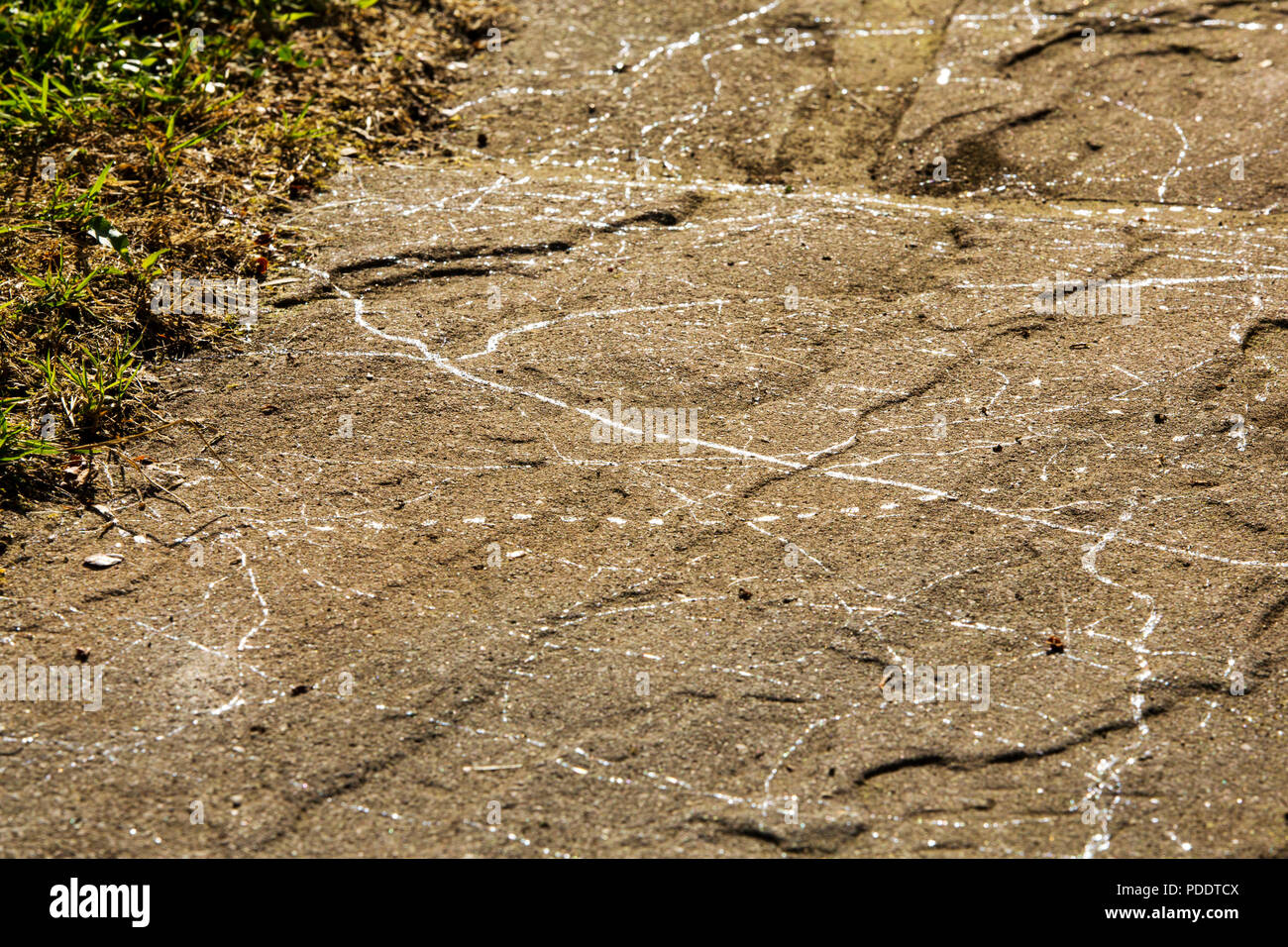 Slug and snail trails on a garden path Stock Photo - Alamy
