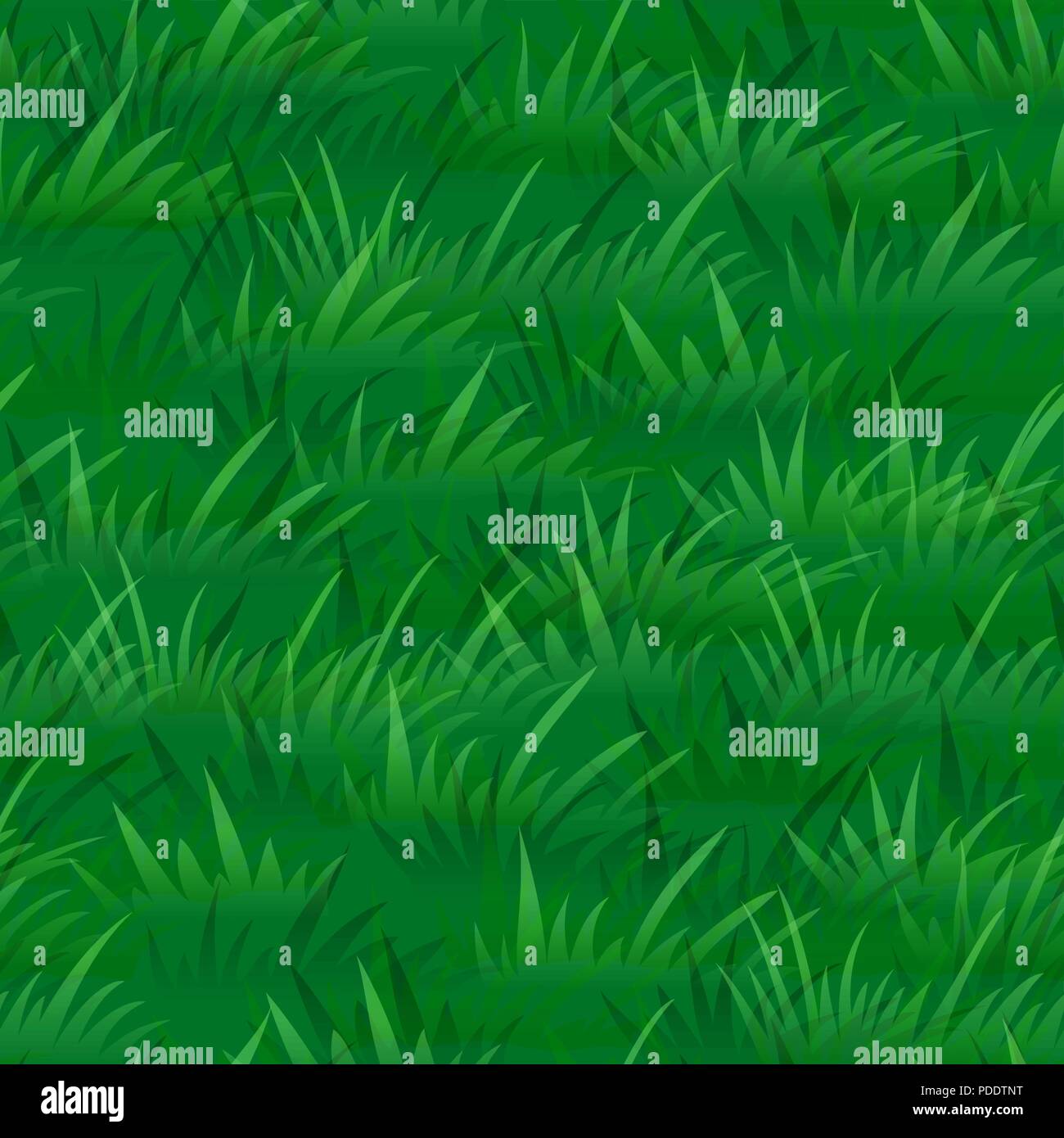 Seamless Pattern, Landscape, Summer or Spring Lawn, Green Grass ...