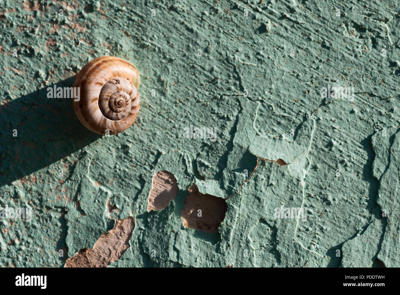 Slow Snail On Wall High Resolution Stock Photography and Images - Alamy