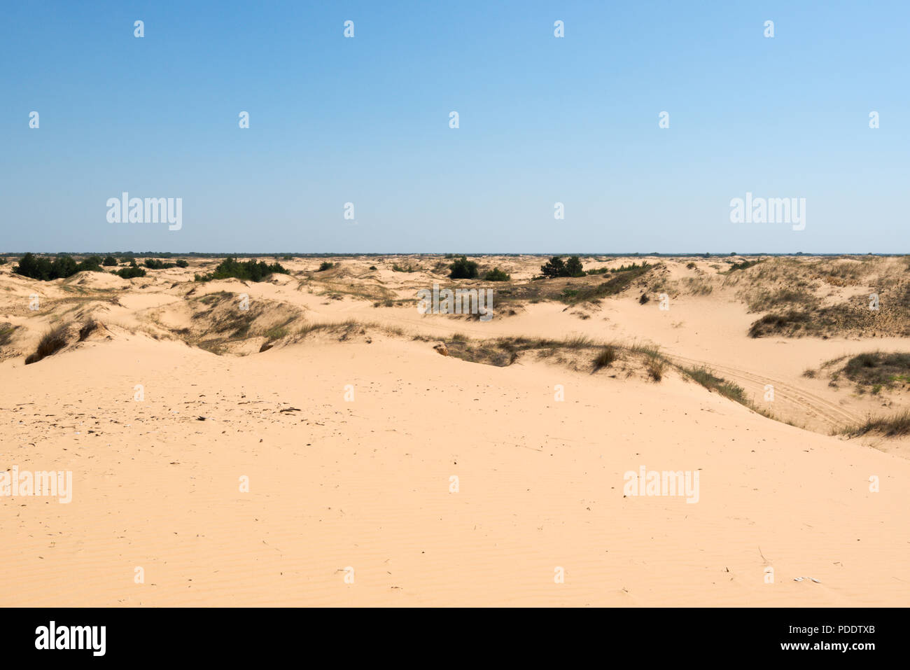 Desert oleshky sands hi-res stock photography and images - Alamy