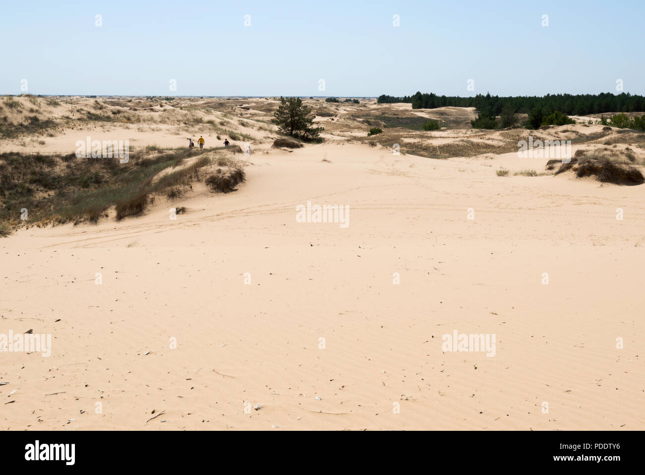 Oleshky Sands, Ukraine Stock Photo - Alamy