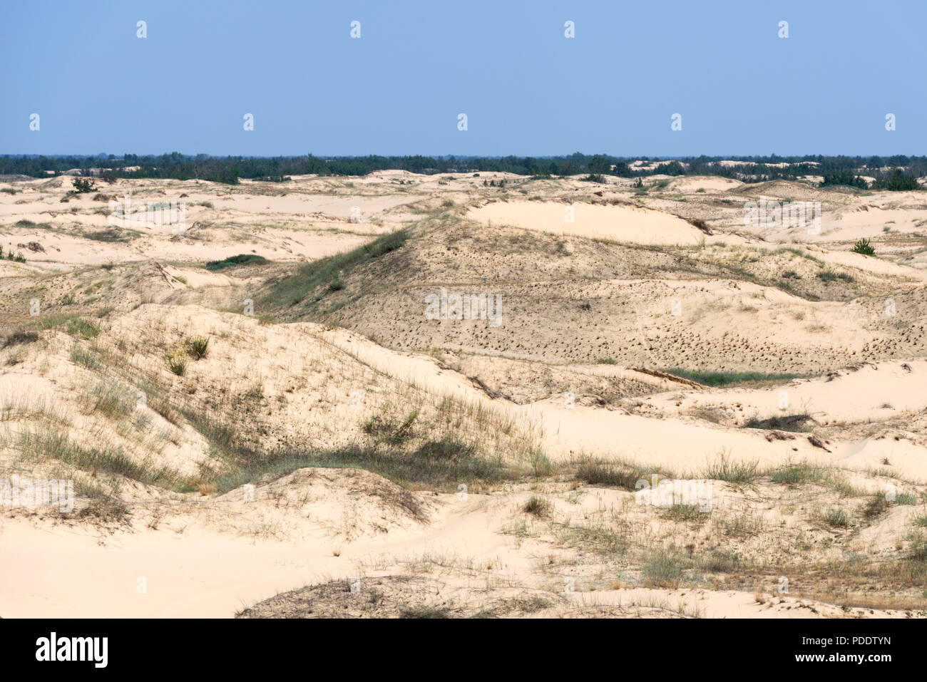 Desert oleshky sands hi-res stock photography and images - Alamy