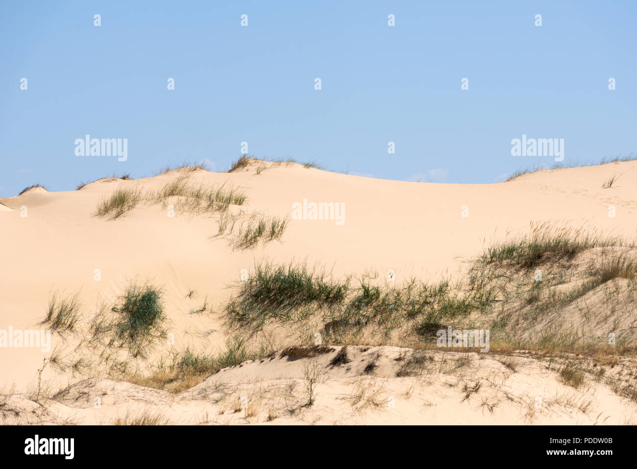 Desert oleshky sands hi-res stock photography and images - Alamy