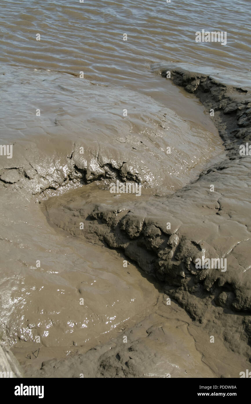 Riverbed mud hi-res stock photography and images - Alamy