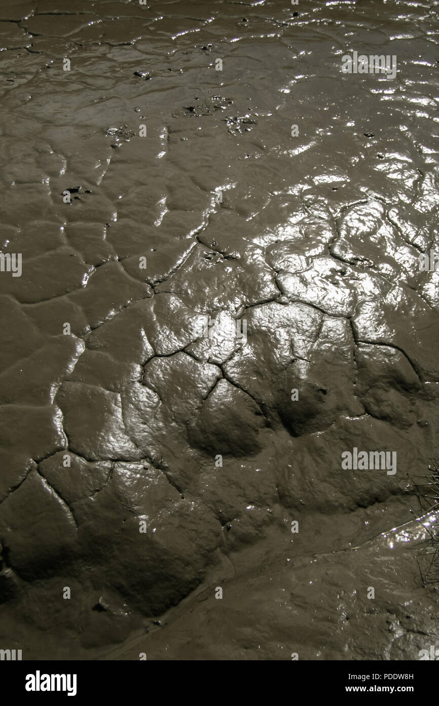 Damp in flats hi-res stock photography and images - Alamy