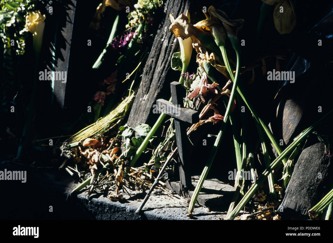 Ixil hi-res stock photography and images - Alamy