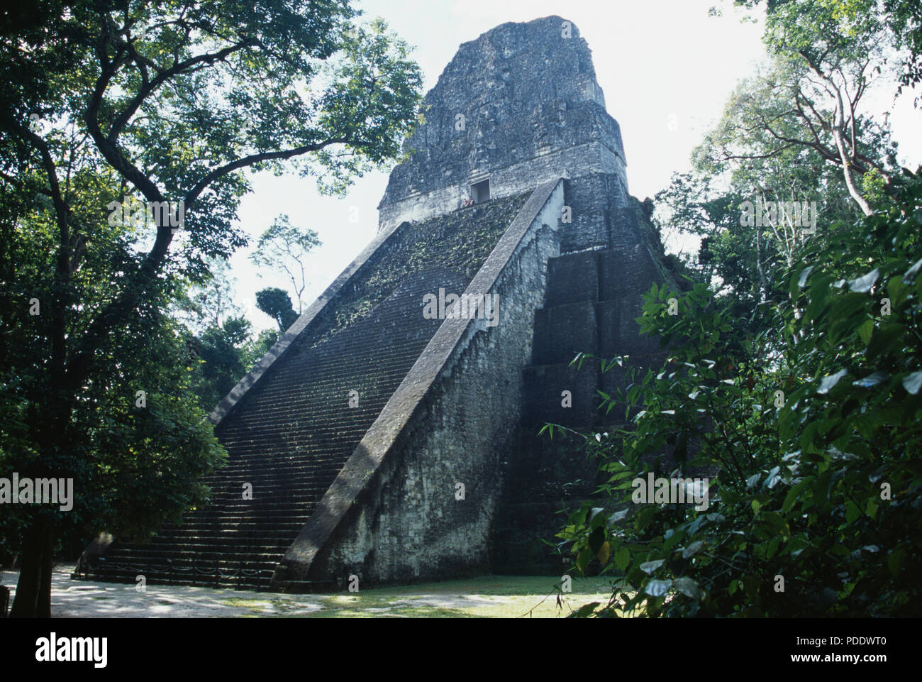 Temple V at Tikal in Guatemala Stock Photo - Alamy
