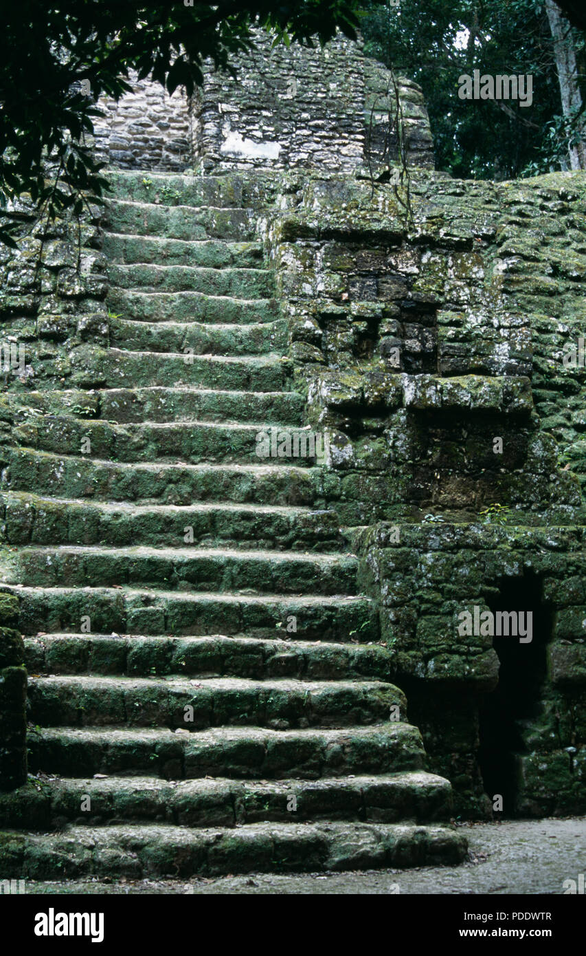 Maya steps at Tikal in Guatemala Stock Photo - Alamy