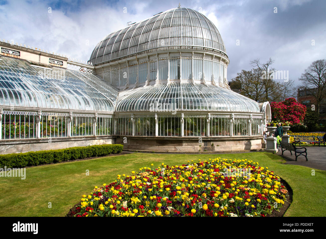Botanic gardens belfast palm house hi-res stock photography and images ...