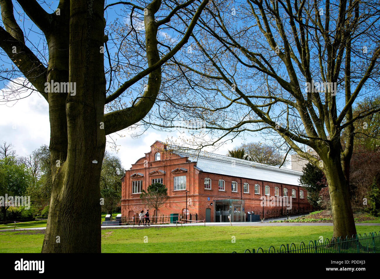The newly restored Tropical ravine in Belfast's Botanic gardens Stock ...