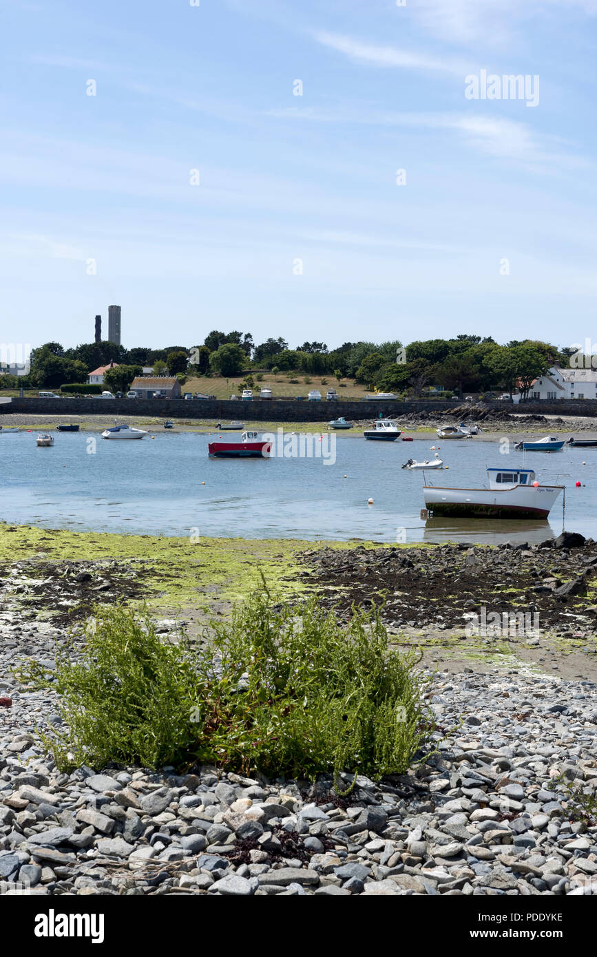 Bordeaux Harbour on Guernsey's east coast is a sheltered and popular ...