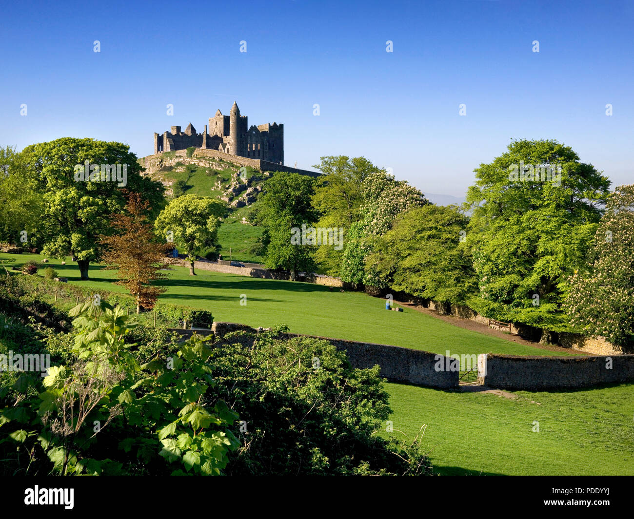 Cashel castle on on the hill top know as the Rock of Cashel Stock Photo ...