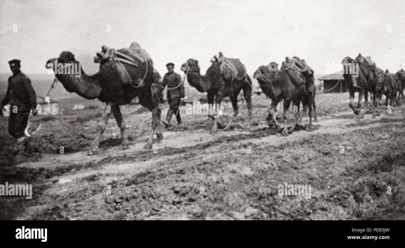 Catalca hi-res stock photography and images - Alamy