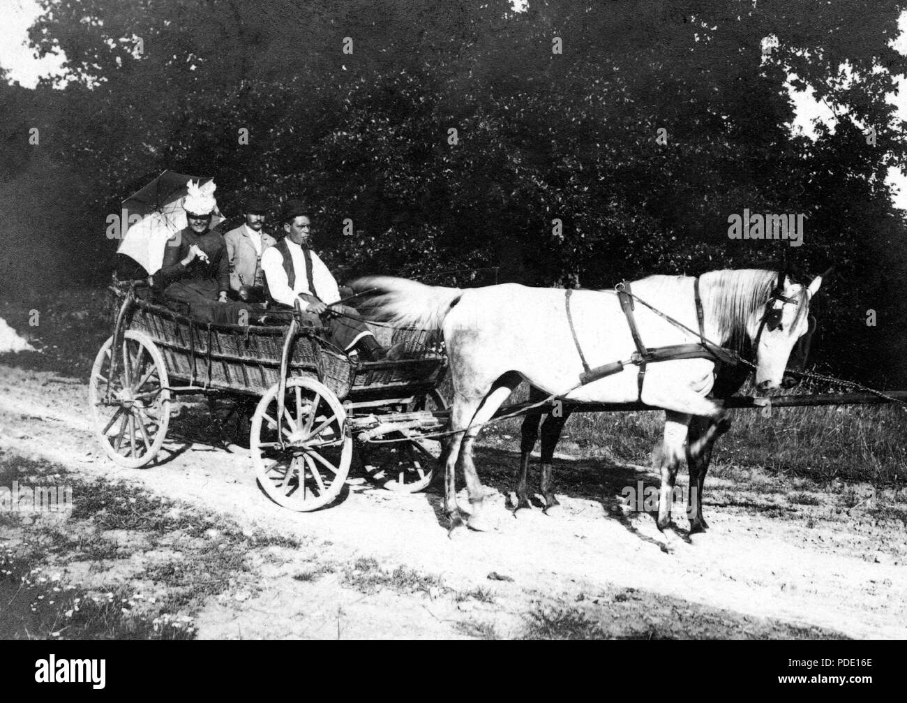 With chariot horse Black and White Stock Photos & Images - Alamy