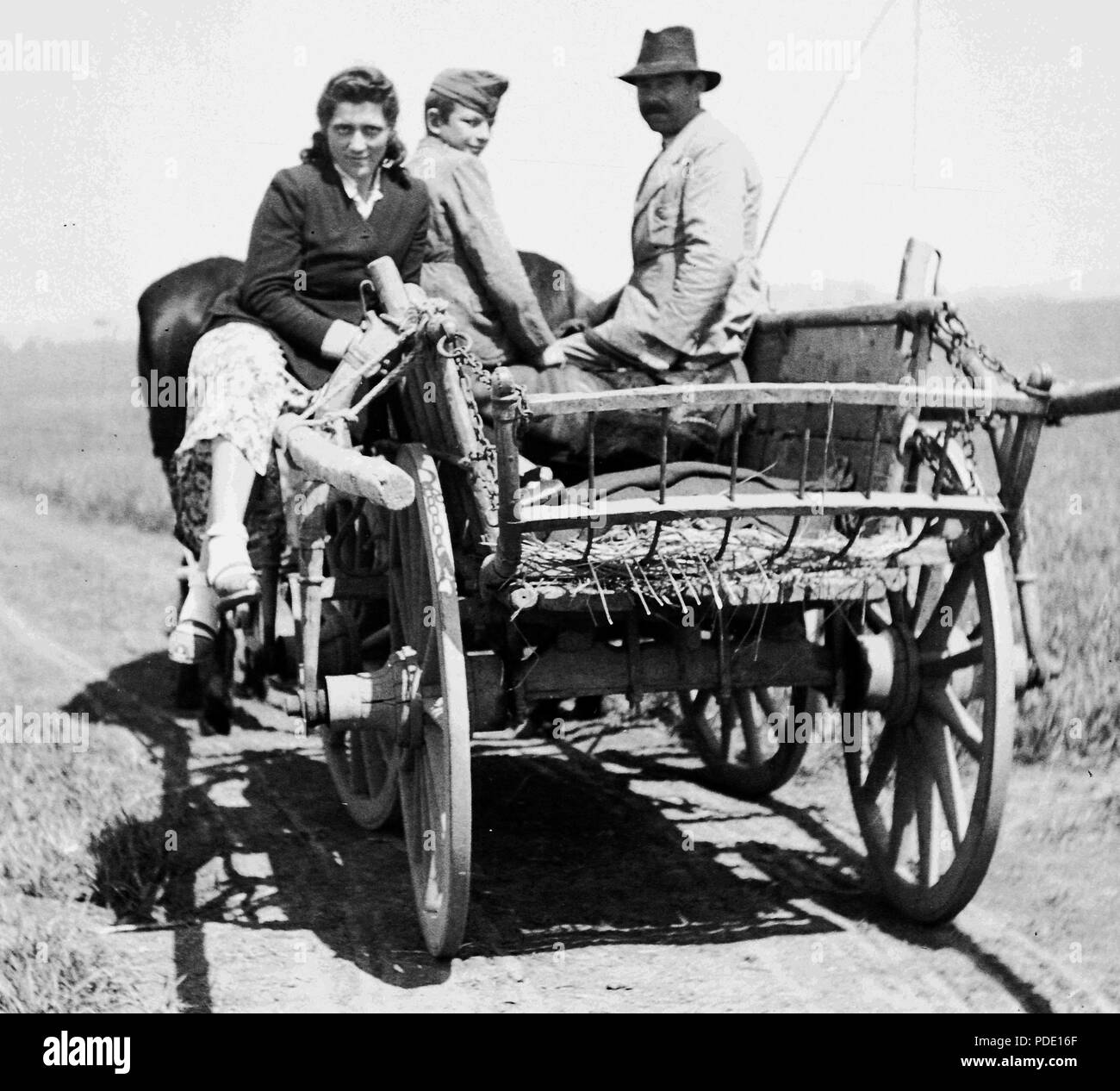 Travelling chariot hi-res stock photography and images - Alamy