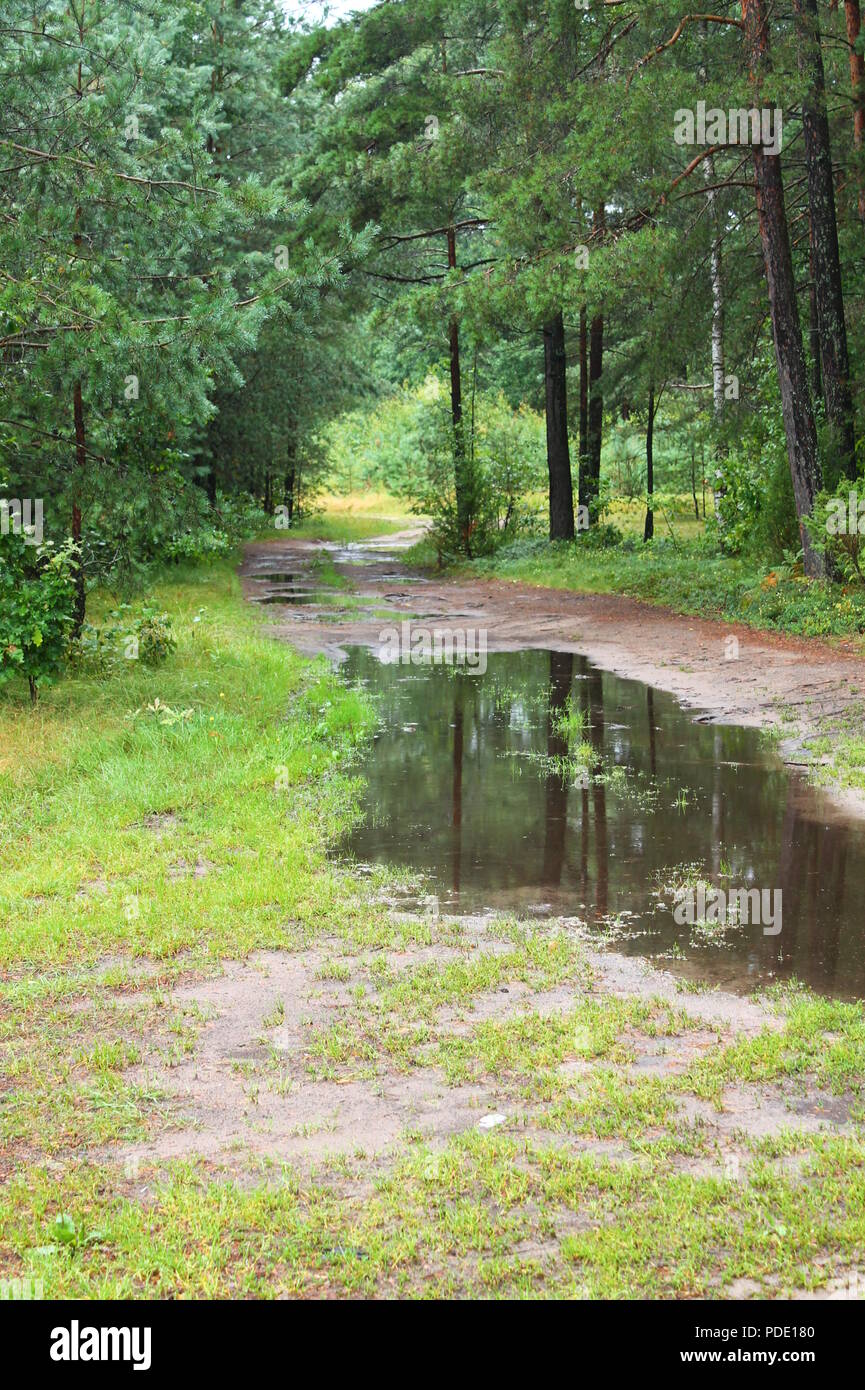beautiful and unique wild nature of Belarus country amazing landscape ...