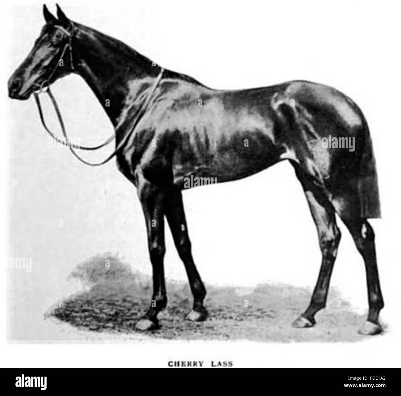 Lass Black and White Stock Photos & Images - Alamy