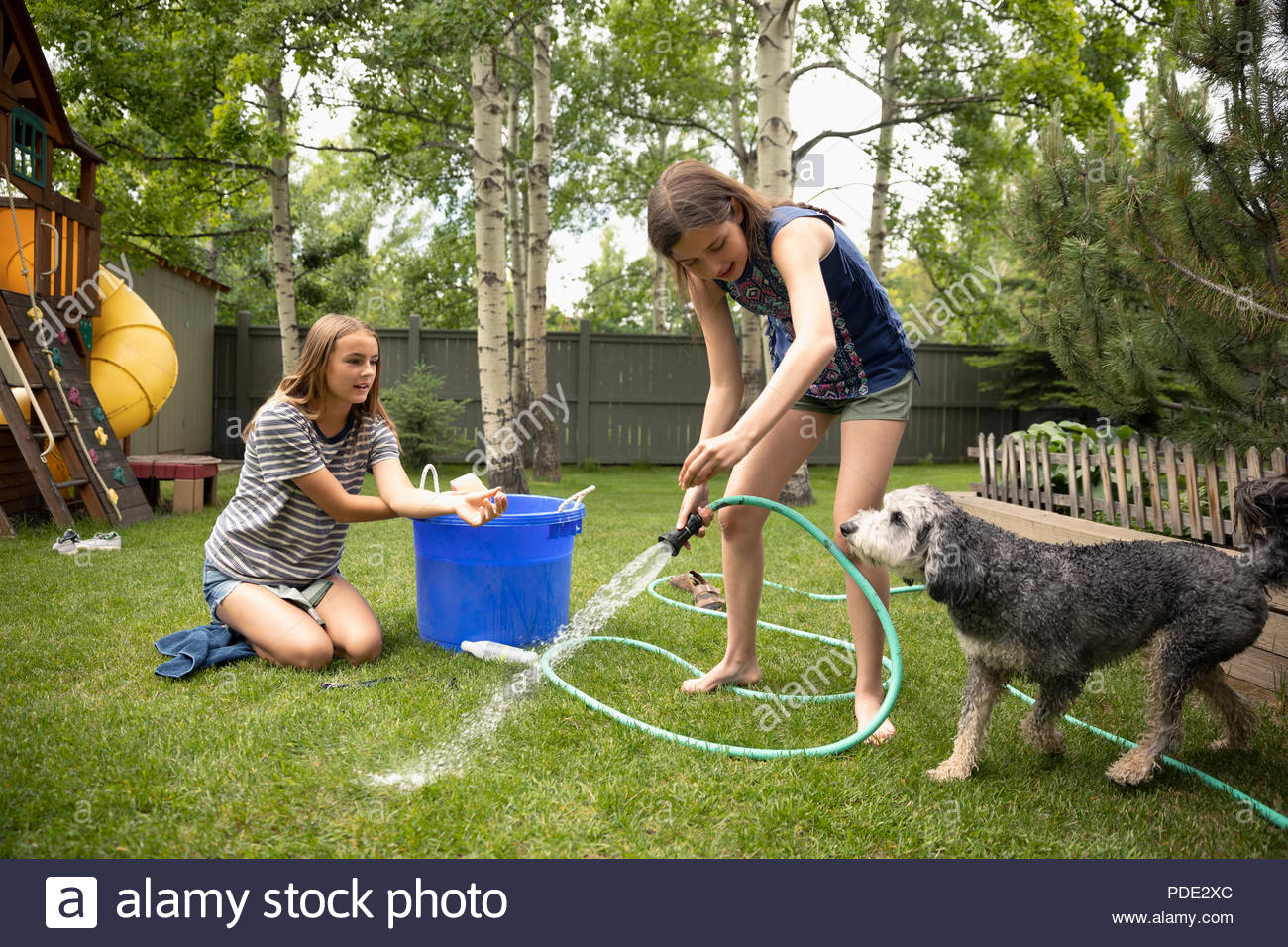 Child giving water pet hi-res stock photography and images - Alamy