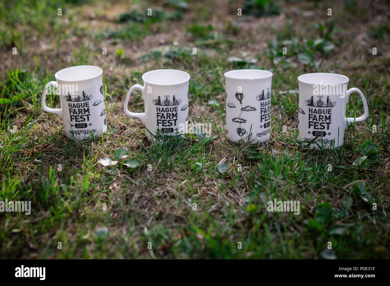 Wedding pary hi-res stock photography and images - Alamy