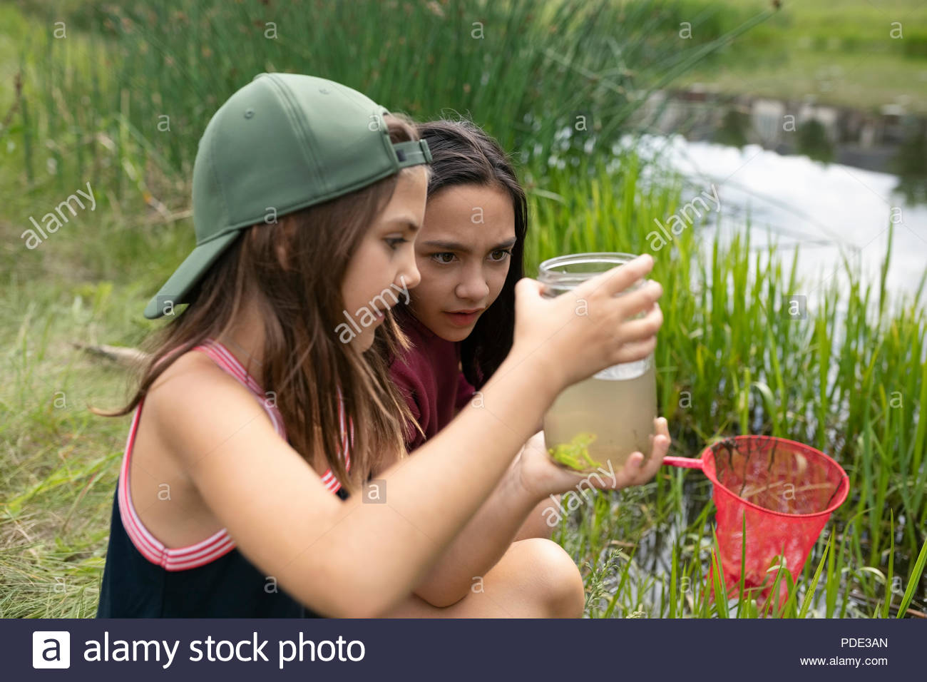 Curious girl friends catching frog in jar Stock Photo - Alamy