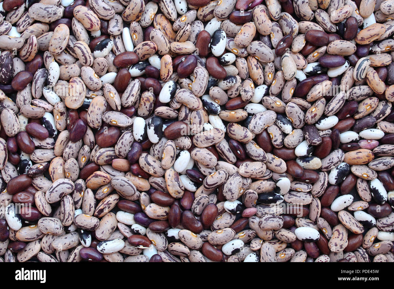 Organic kidney beans hi-res stock photography and images - Alamy