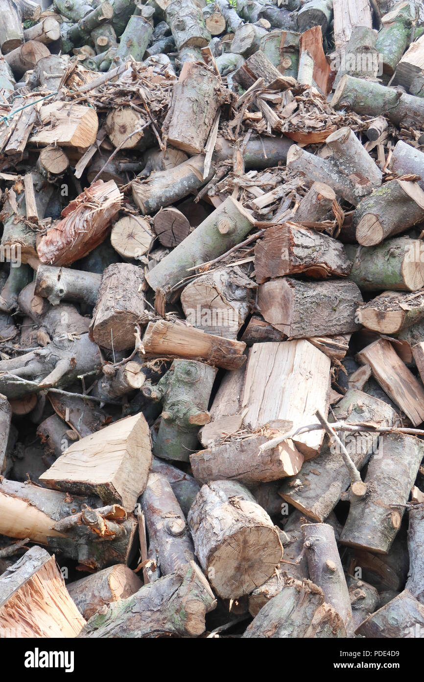 Pile of chopped logs Stock Photo - Alamy