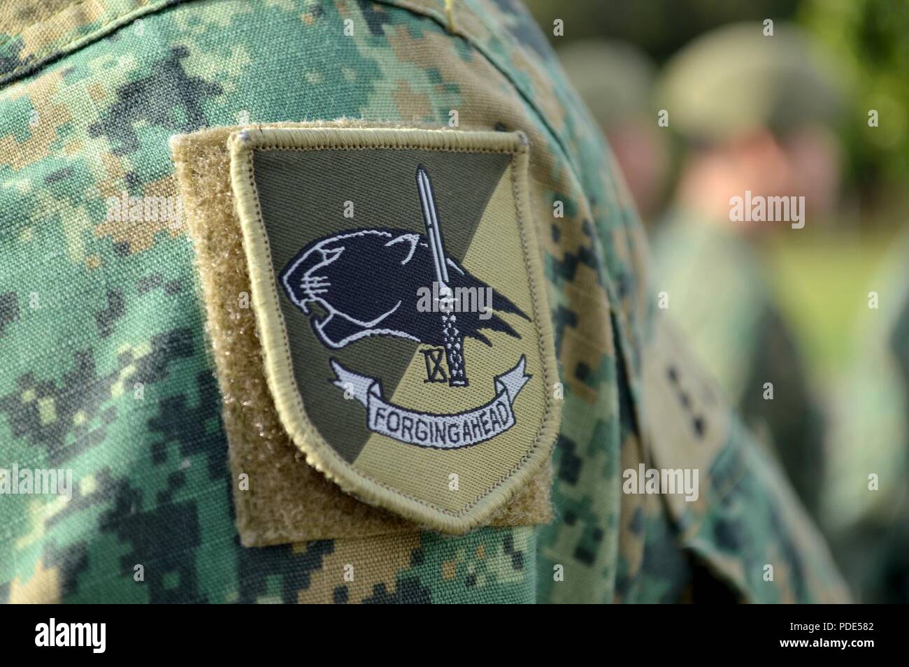 The patch insignia of the 9th Division, Singapore Army, worn by a ...