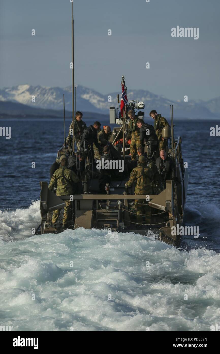 U.S. Marines with 1st Platoon, 1st Reconnaissance Battalion, 1st Marine ...