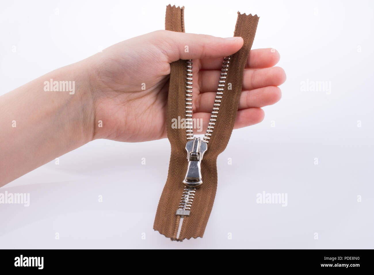 Hand holding color zipper on a white background Stock Photo - Alamy