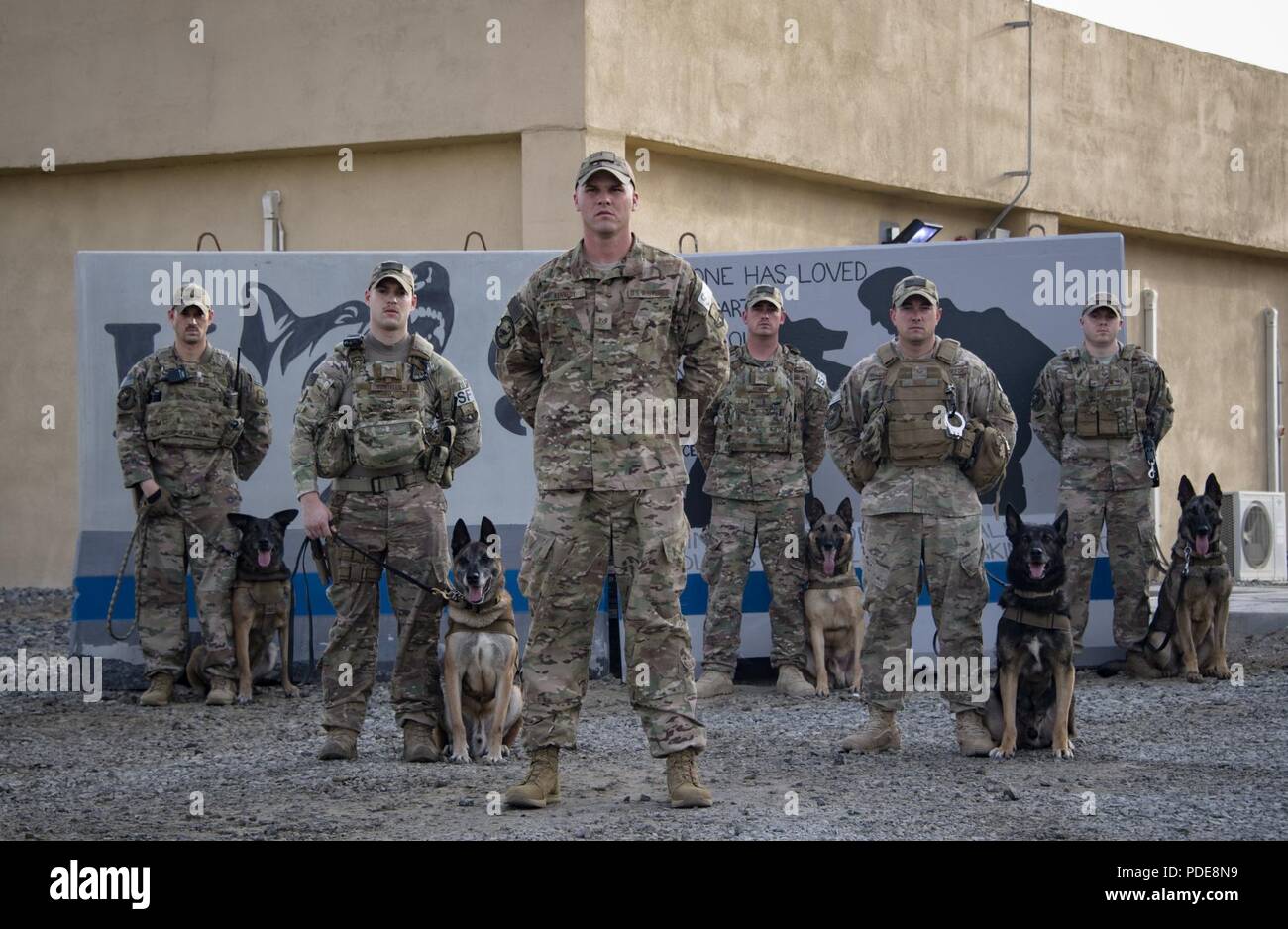 From left to right: U.S. Air Force Military Working Dog Handlers Staff ...