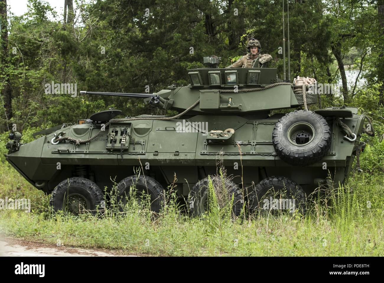 A U.S. Marine with 2nd Light Armored Reconnaissance Battalion, 2nd ...