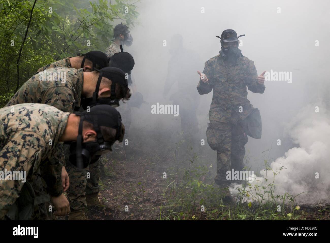 U.S. Marine Corps Staff Sgt. Heather Goetsch with Headquarters Company ...