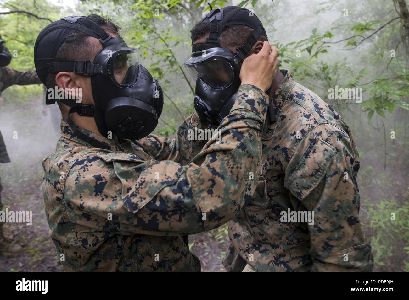 U.S. Marine Corps Pfc. William Coats adjusts Lance Cpl. Justin Allen’s ...