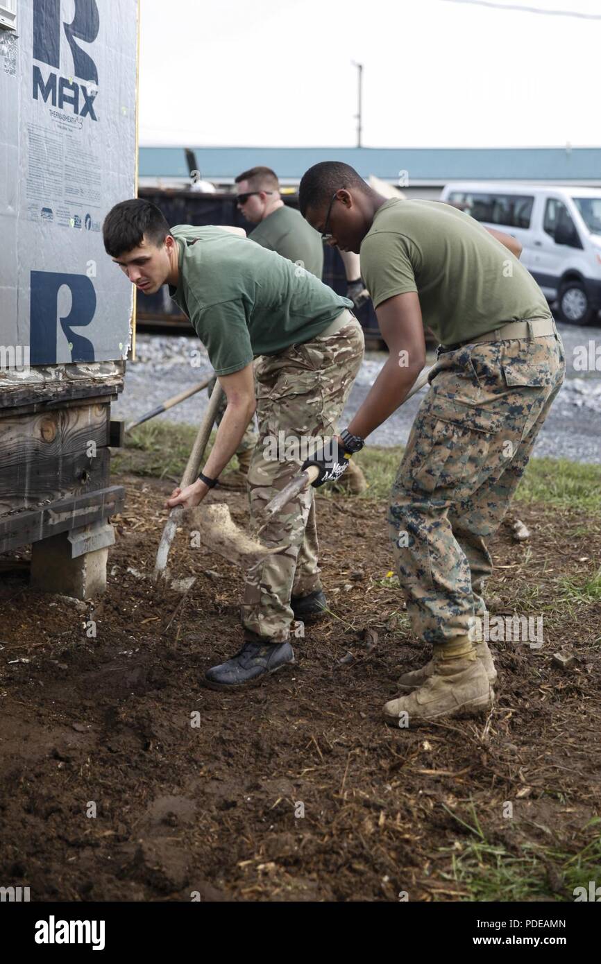 British Army Spr. Adam Foreman, commando with 131 Commando Squadron ...