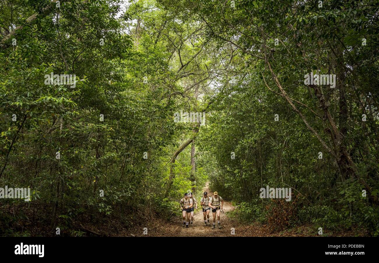 An explosive ordnance disposal team climbs a steep, forested hill ...