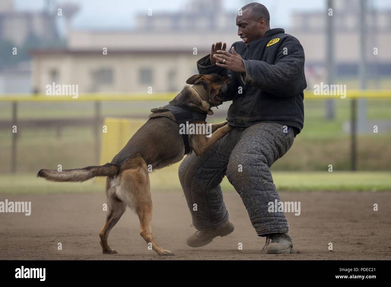 Metropolitan police dog handler hi-res stock photography and images - Alamy