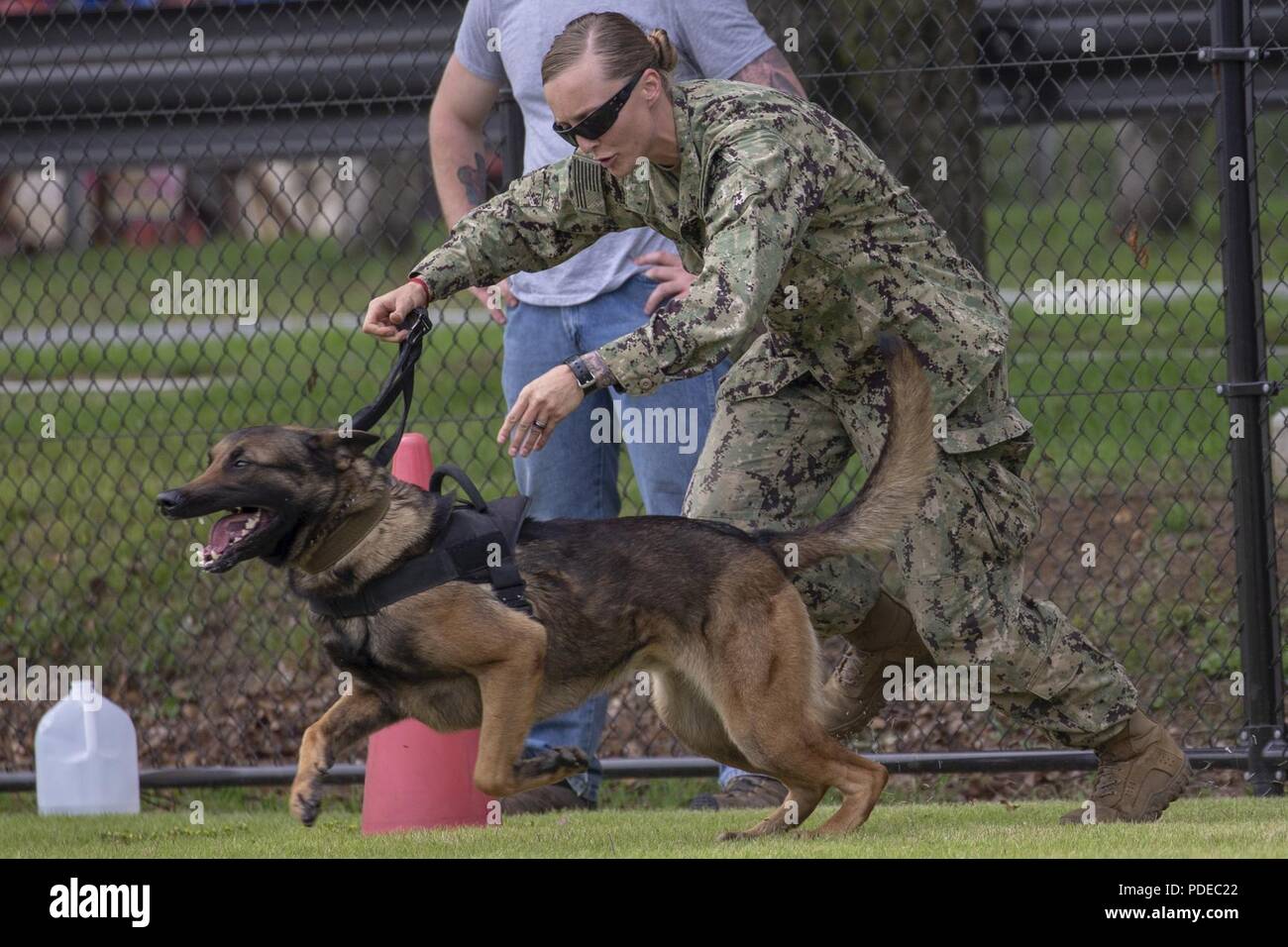 U.S. Navy Petty Officer 1st Class Ashly Lester, Commander Fleet ...