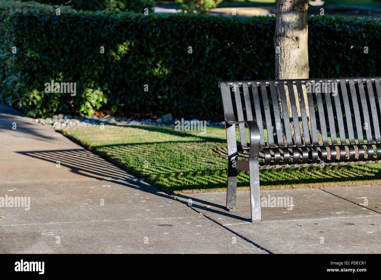 Park bench casting a shadow on a walkway in front of a tree Stock Photo ...