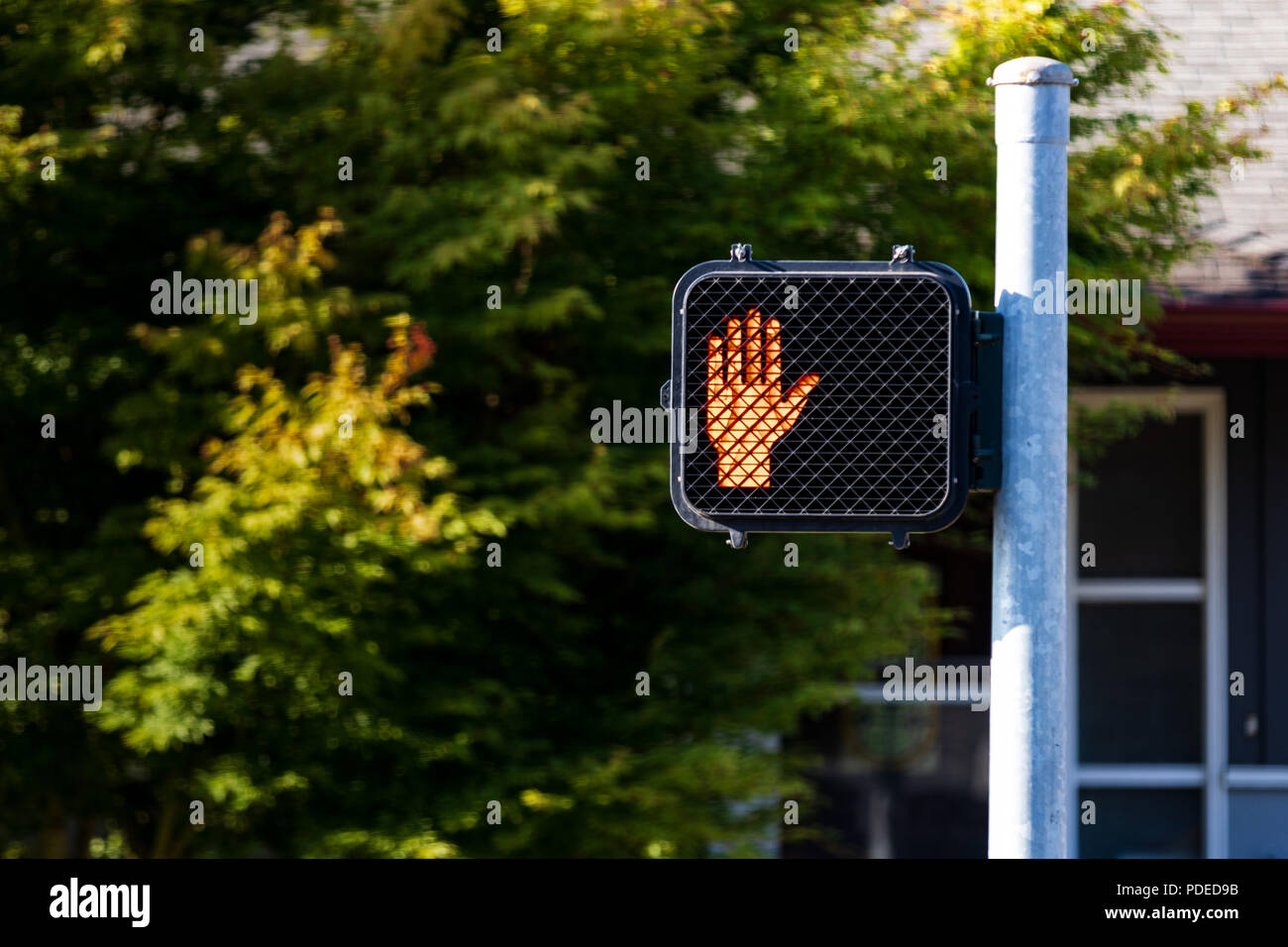Crosswalk hand symbol sign on a post with trees in the distance Stock ...