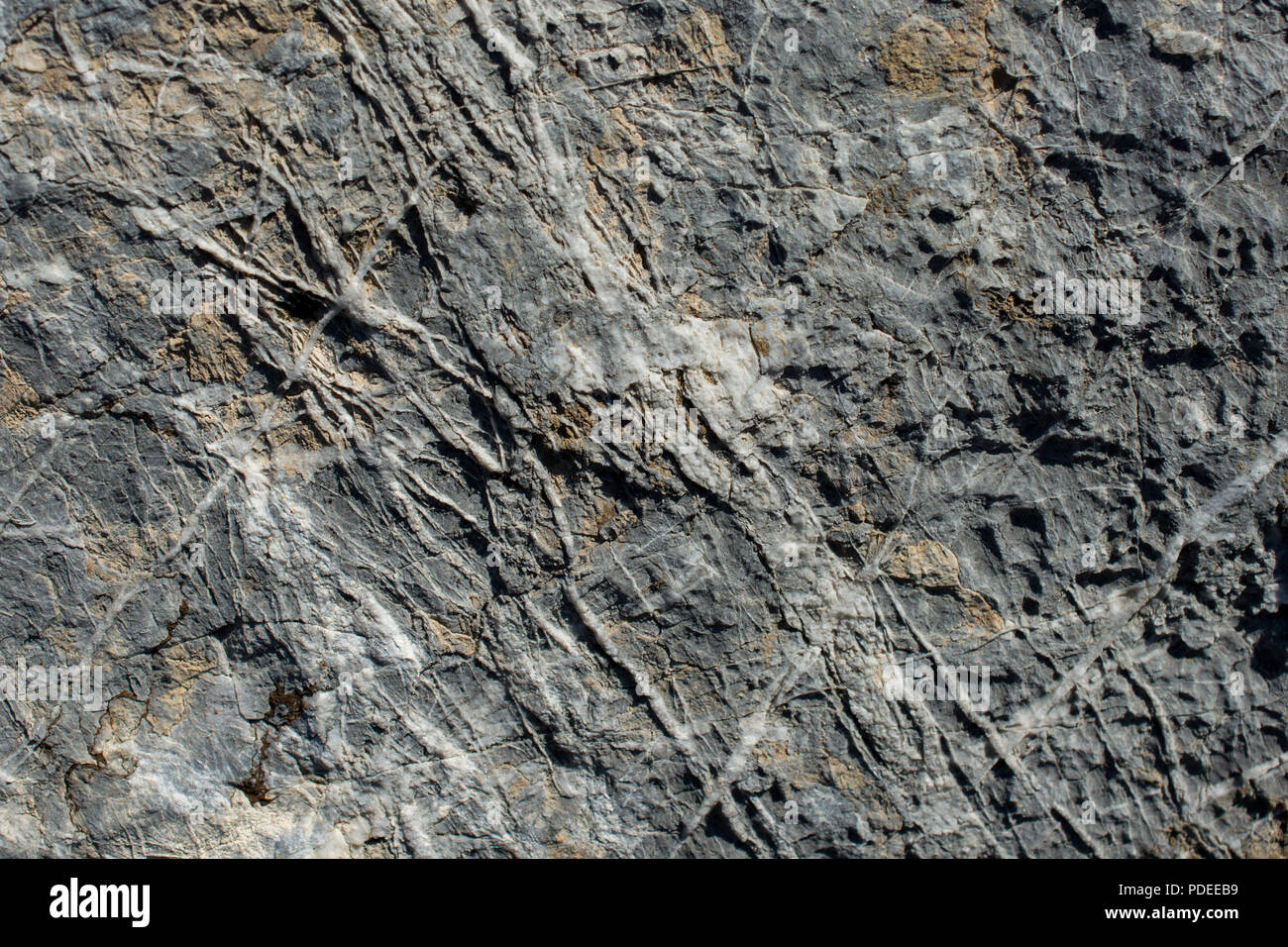 Natural rock or Stone surface as background texture Stock Photo - Alamy