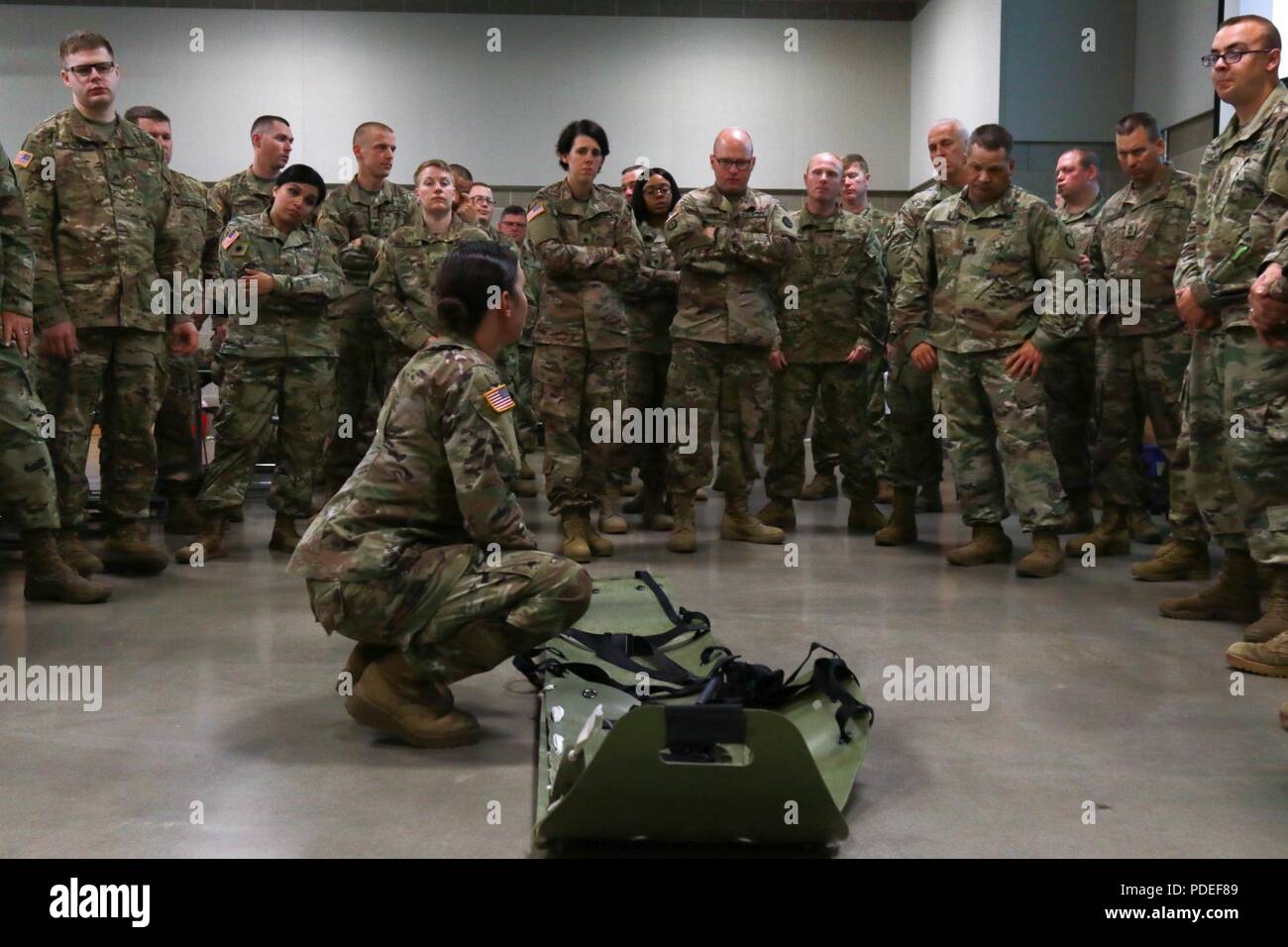 Litter Drag High Resolution Stock Photography and Images - Alamy