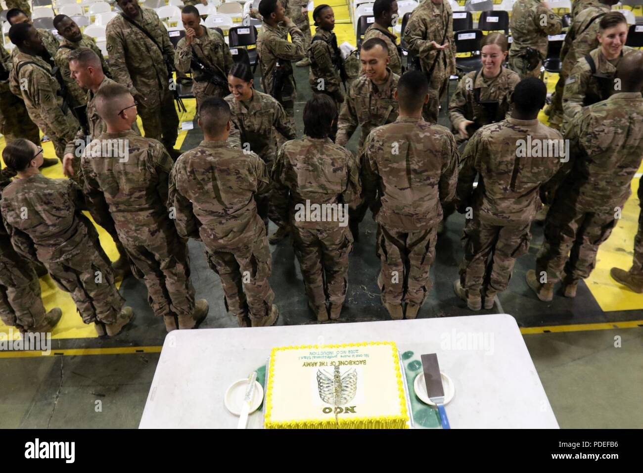 Soldiers congratulate NCOs attached to the Special Troops Battalion ...