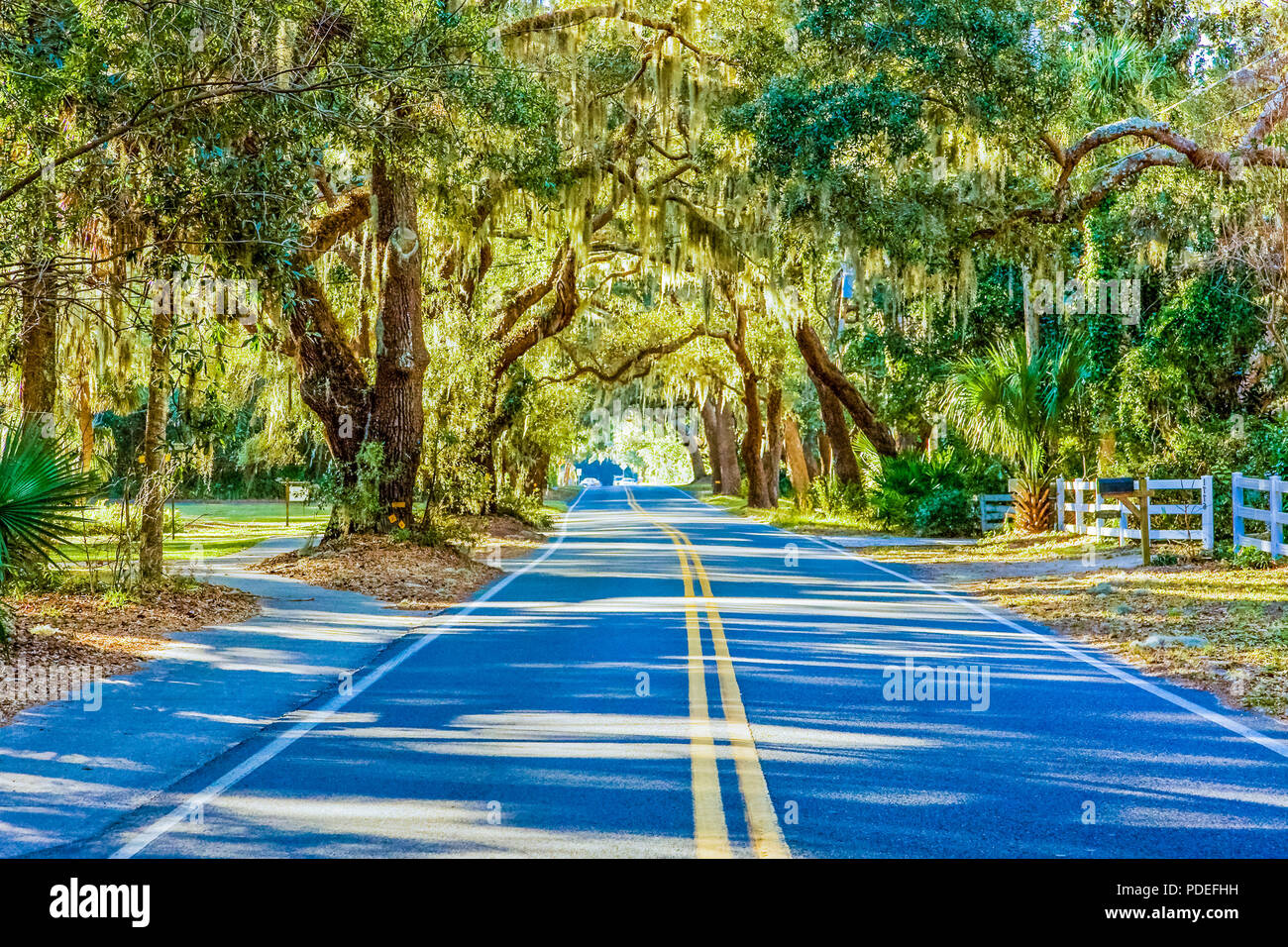 Moss travel countryside rural tree hi-res stock photography and images ...