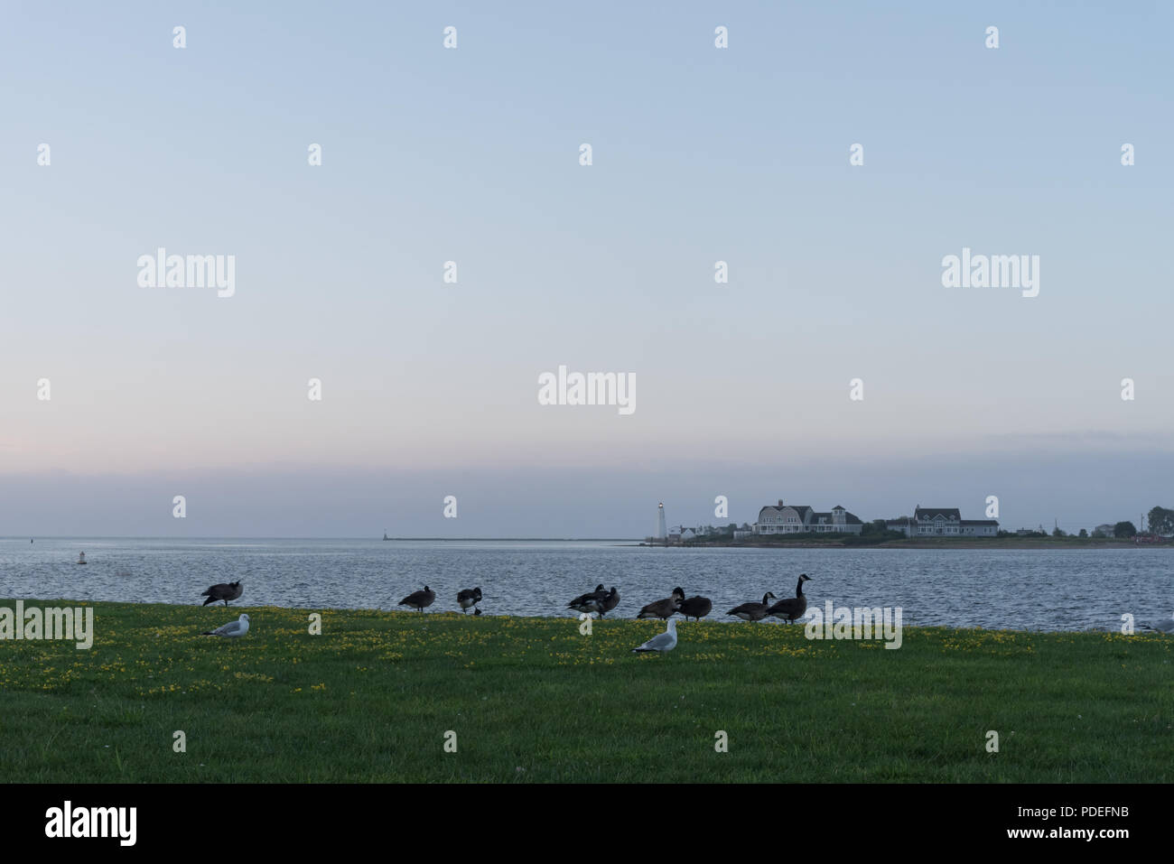 Saybrook Point and Lynde Point lighthouse at sunrise, Connecticut Stock ...