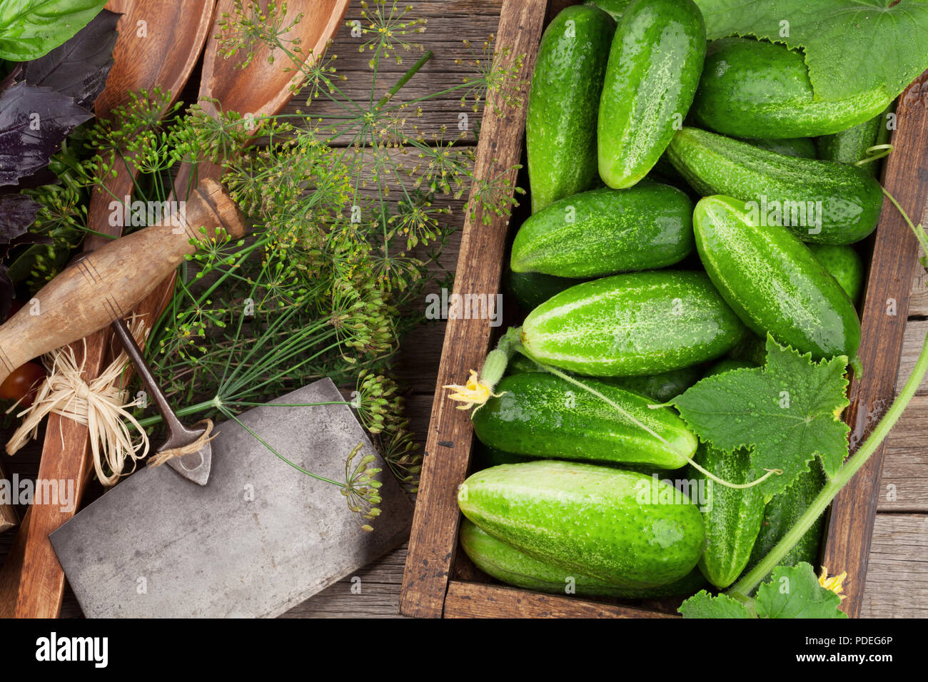 Fresh garden cucumbers with herbs cooking on wooden table. Top view ...