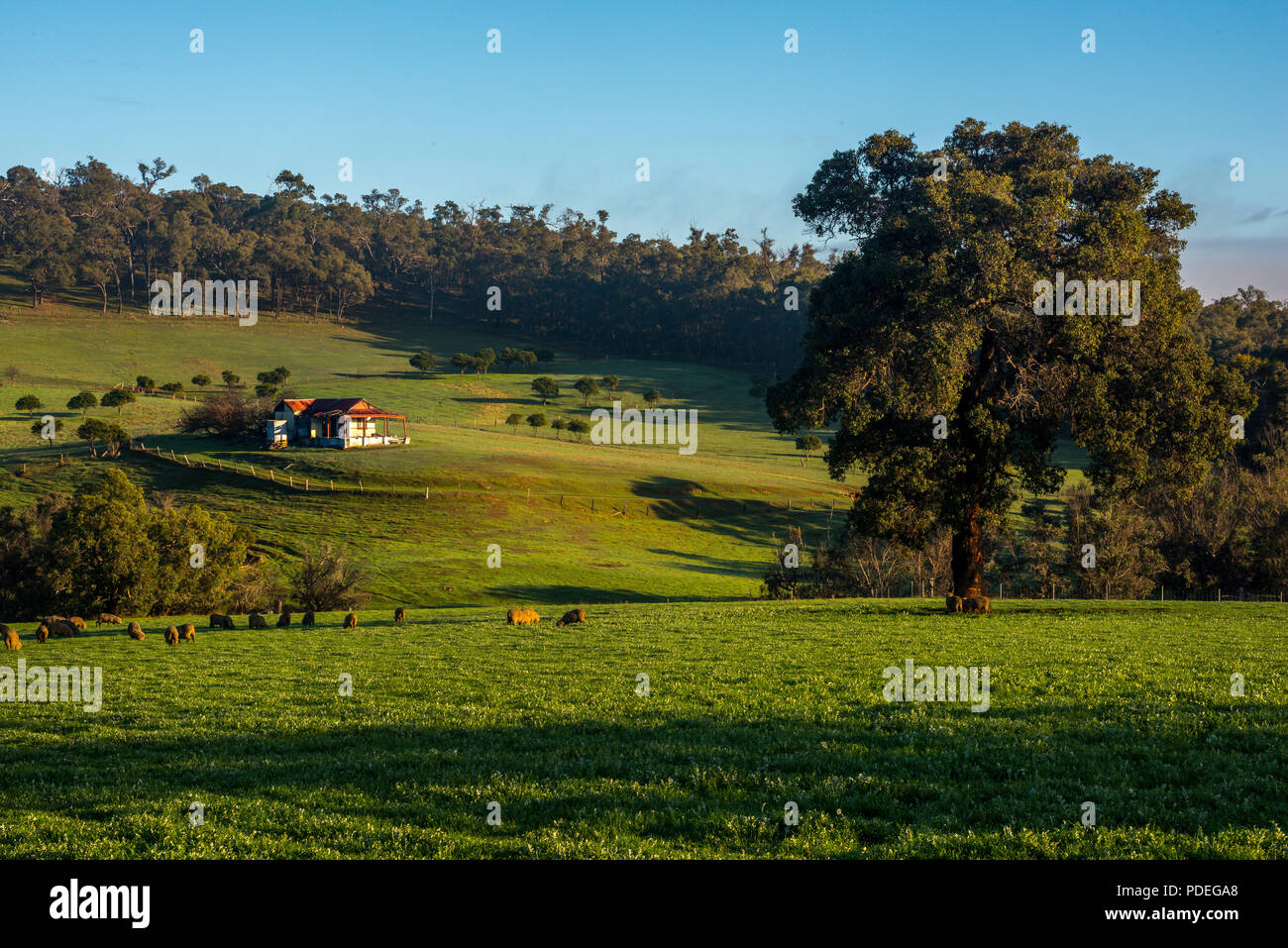 Farmhouse, Gidgegannup, Western Australia Stock Photo - Alamy