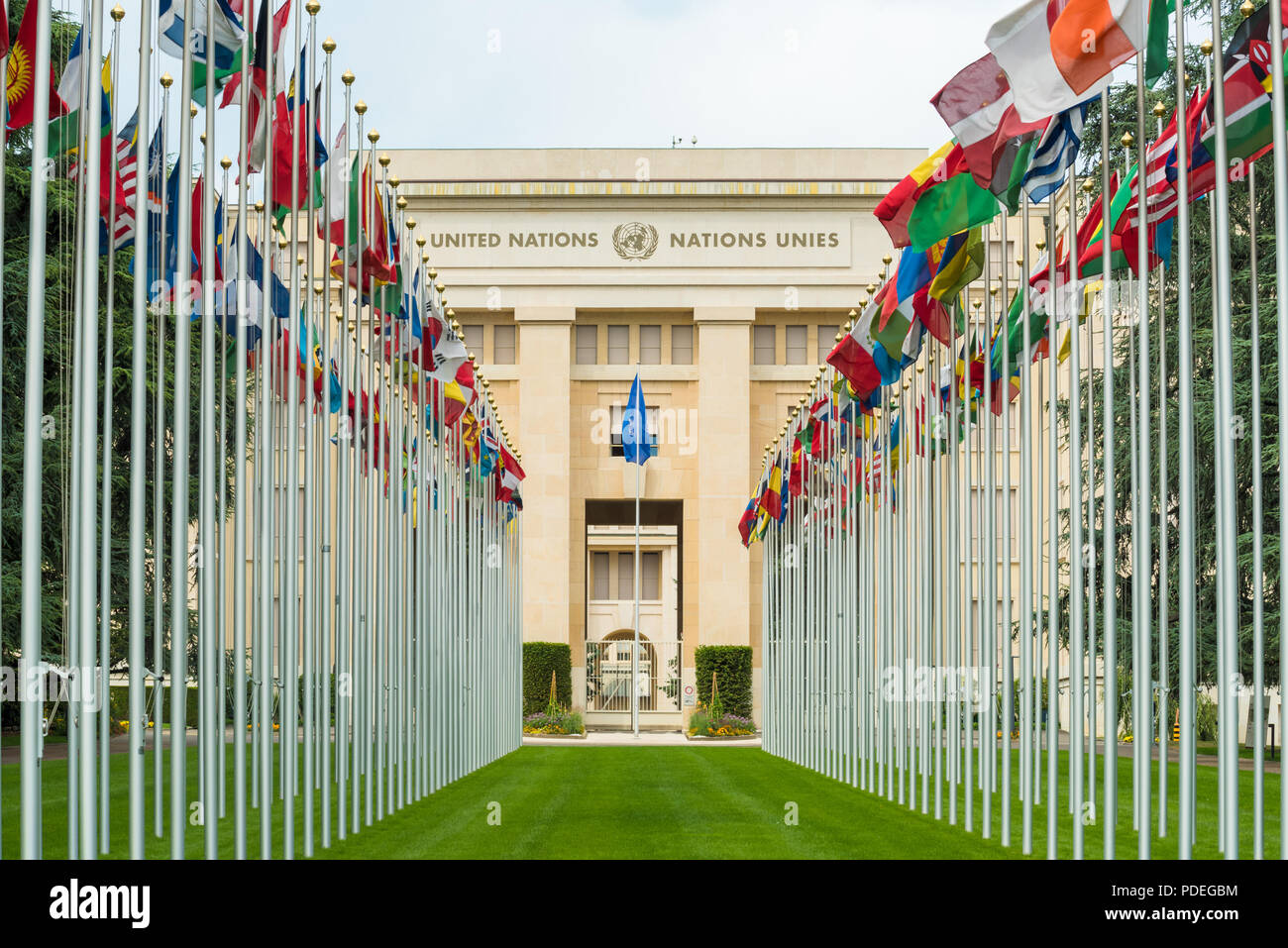 Flags of the members of the United Nations flying from a row of flag ...