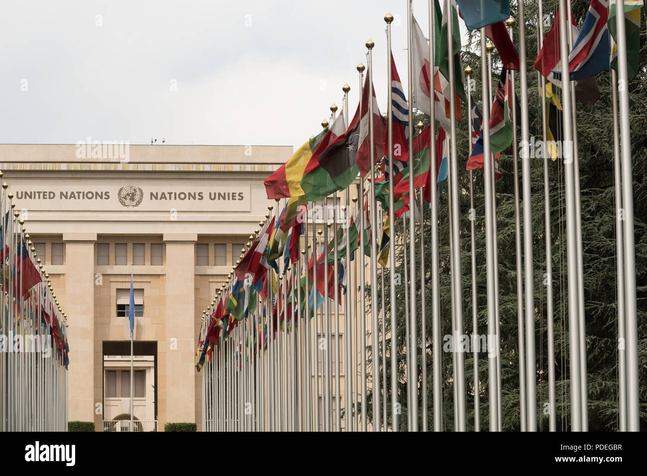 Flags of the members of the United Nations flying from a row of flag ...
