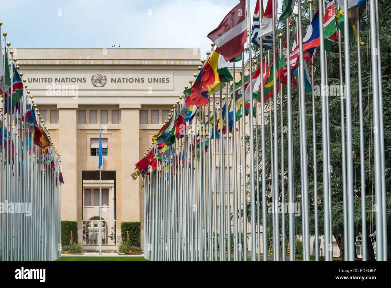 Flags of the members of the United Nations flying from a row of flag ...